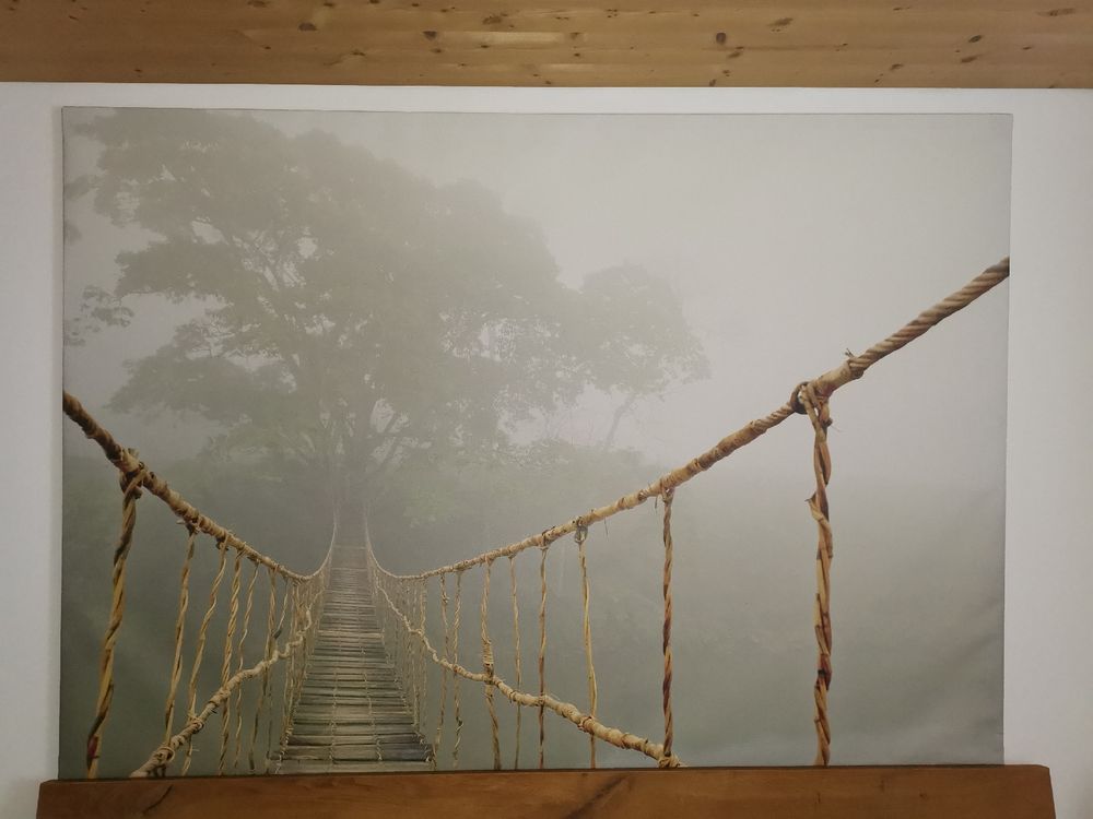 Bild (Neu (gemäss Beschreibung)) in Flims-Waldhaus für CHF 65 – nur ...