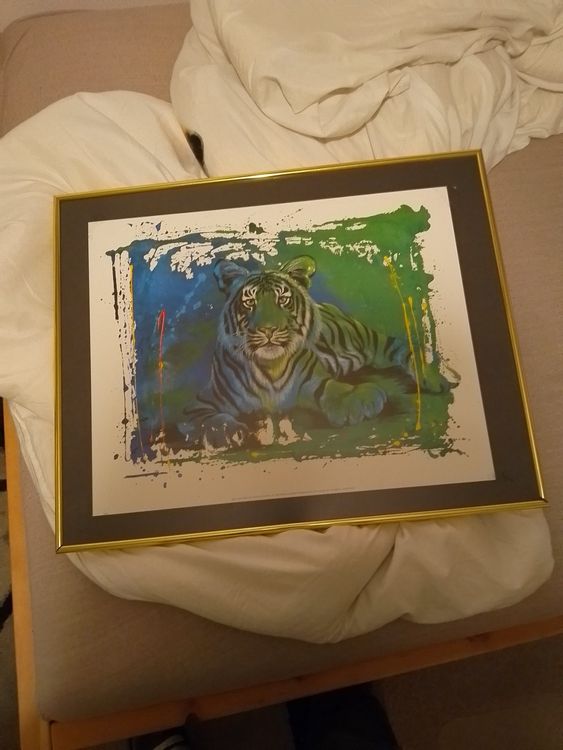 Bild Tiger, Rolf Knie (Gebraucht) in Weinfelden für CHF 56.8 – nur Abholung auf Ricardo kaufen
