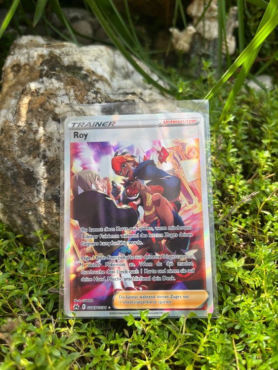 Roy (Pokemon) | Kaufen auf Ricardo