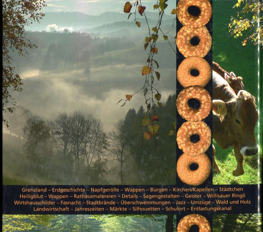 Willisau, Heimatbuch (Gebraucht) in Aarau für CHF 8 – nur Abholung auf ...