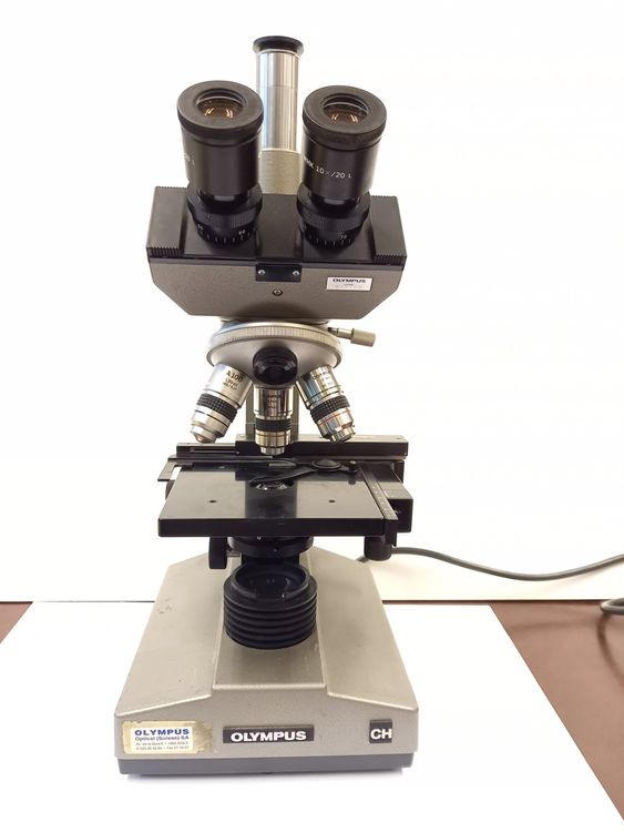 Microscopio/Mikroskop/Microscope Olympus serie CH (Gebraucht) in ...