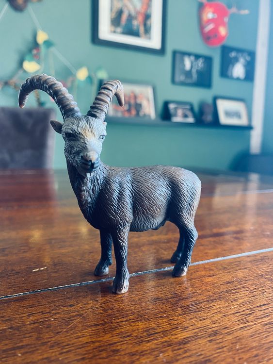Schleich Steinbock (Gebraucht) in Erlinsbach SO für CHF 5 – mit ...