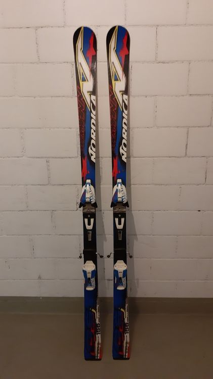 Nordica Dobermann | Kaufen auf Ricardo