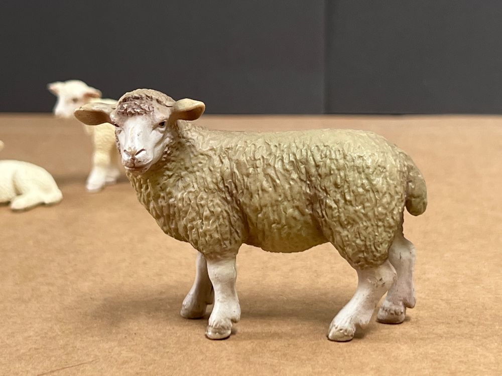 Schleich Schaf Lamm Schafe Schafbock | Kaufen auf Ricardo