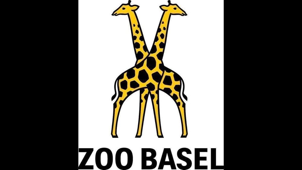 2 Eintritte - Zoo Basel, Museen, etc. (Neu und originalverpackt) in Zürich für CHF 12 – mit ...
