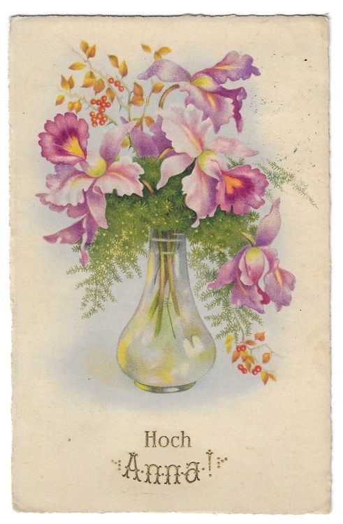 Hoch Anna ! (Gebraucht) in Kloten für CHF 1 – mit Lieferung auf Ricardo ...