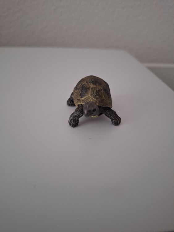Schildkröte Schleich | Kaufen auf Ricardo