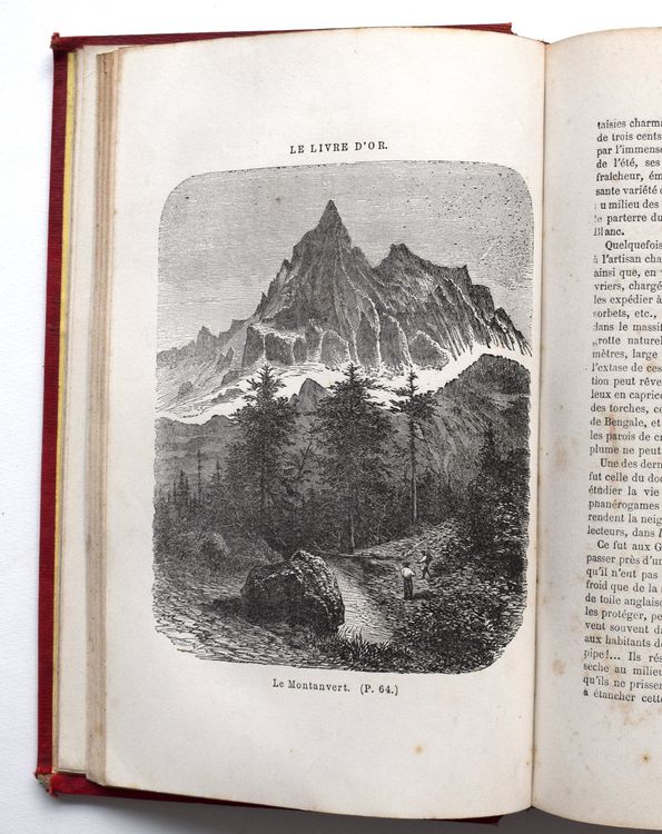 Livre d'Or Grandes Curiosités du Globe Nature Alpen 1869 RAR | Kaufen ...