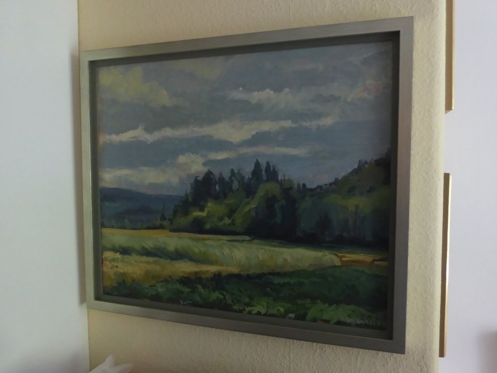 Walter Schenkel - Oelbild Landschaft 1954 signiert & gerahmt (Gebraucht ...