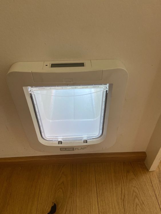 katzenklappe sure flap xl (Gebraucht) in trogen für CHF 50 – nur ...