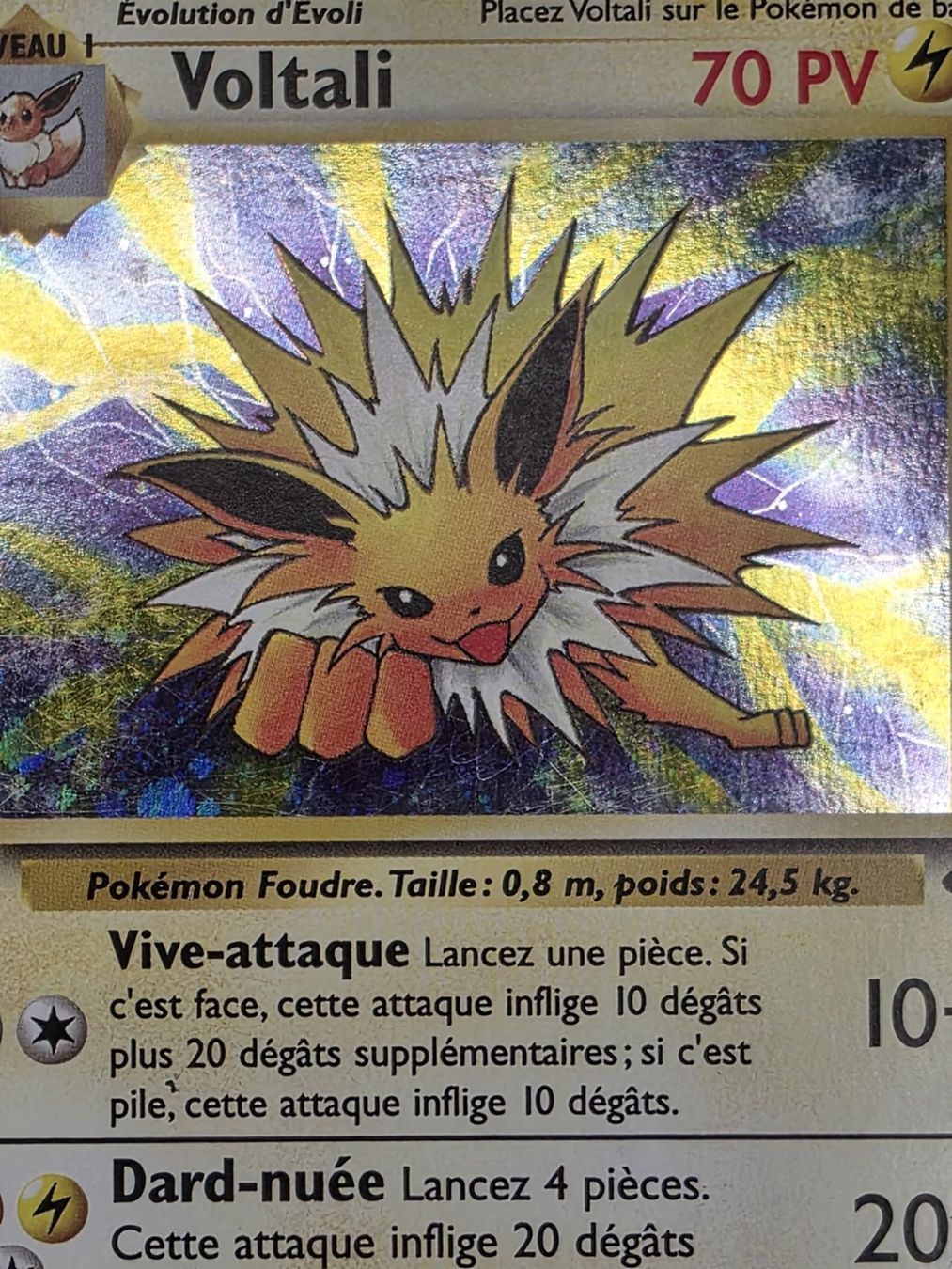 Voltali Jungle 4/64 Française Holo Wizards (Gebraucht) in lausanne für ...