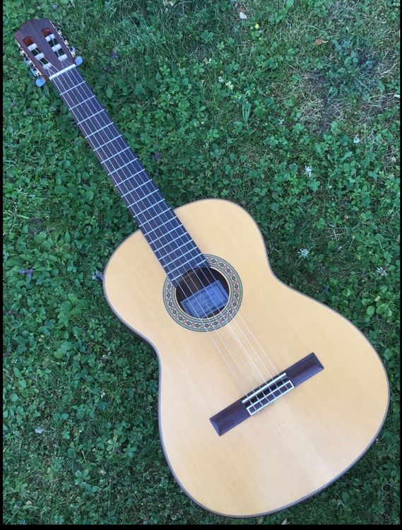 Gitarre „Diethard DF-5“ (Gebraucht) in Wangen b. Olten für CHF 130 ...