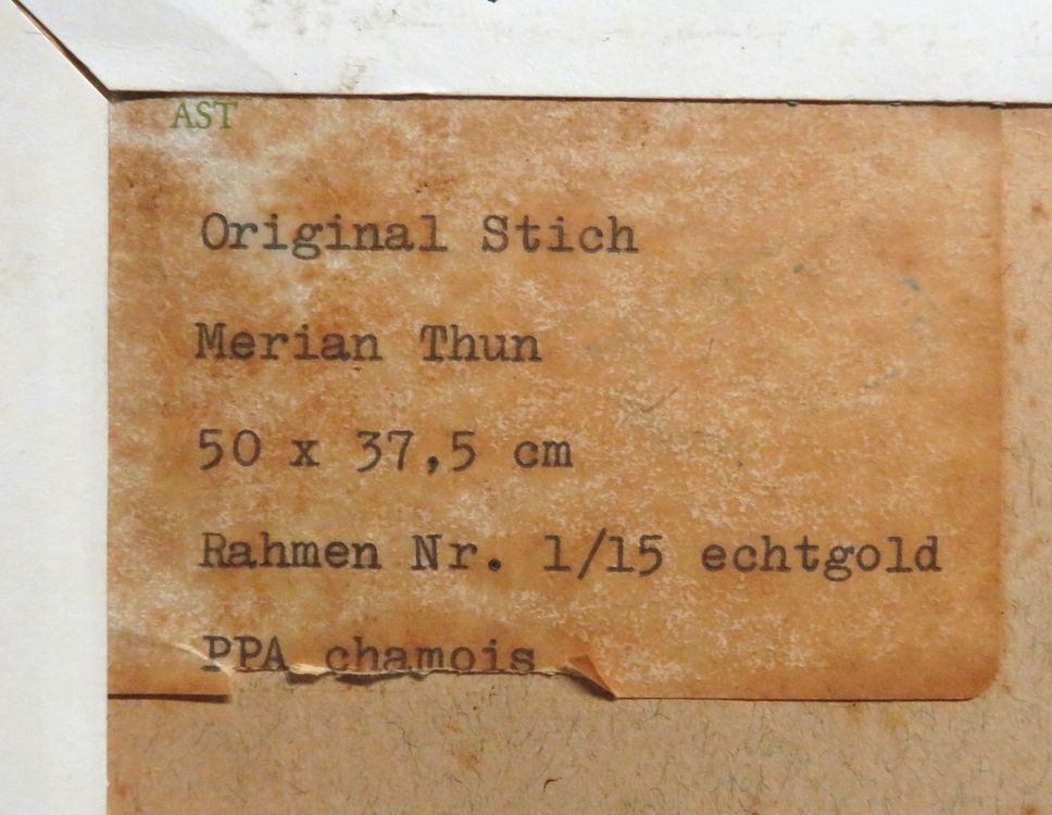 Orig Stich Kt. Bern Thun von Matthäus Merian (1593 - 1650) | Kaufen auf ...
