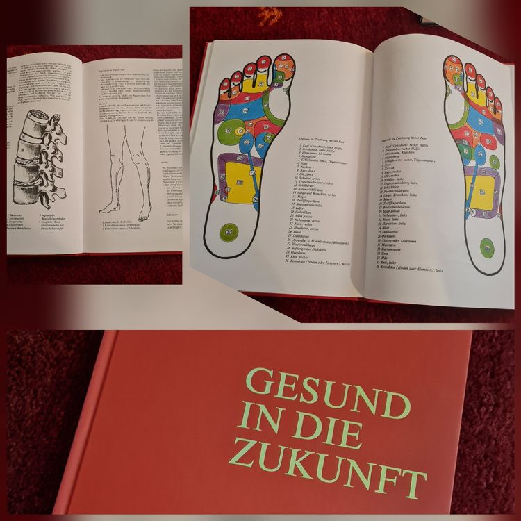 Buch: Gesund in die Zukunft. Fussreflexzonen Sachbuch (Gebraucht) in ...