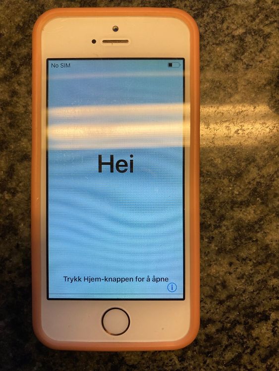 IPhone SE (IPhone 5) | Kaufen auf Ricardo