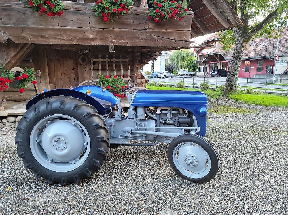 Ferguson TEA 20 (Gebraucht) in Ersigen für CHF 4800 – nur Abholung auf ...