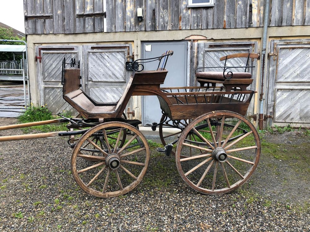 Pferdekutsche / Wagen (Gebraucht) in Oberaach für CHF 2 – nur Abholung auf Ricardo kaufen