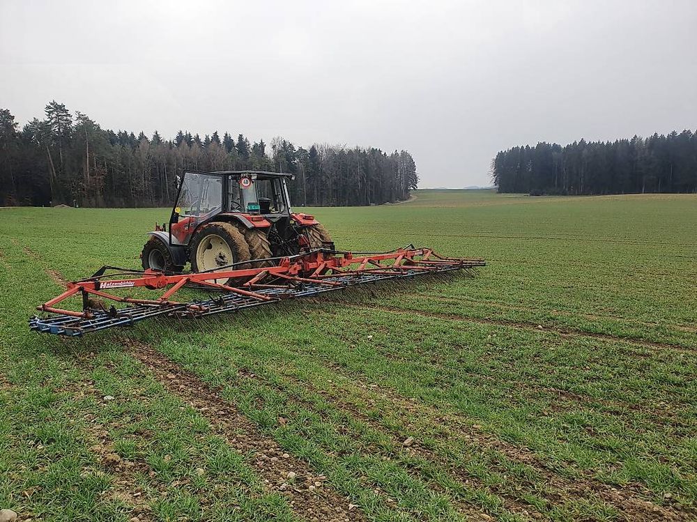 Ackerstriegel Grünlandstriegel Striegel Hatzenbichler 11m (Gebraucht ...