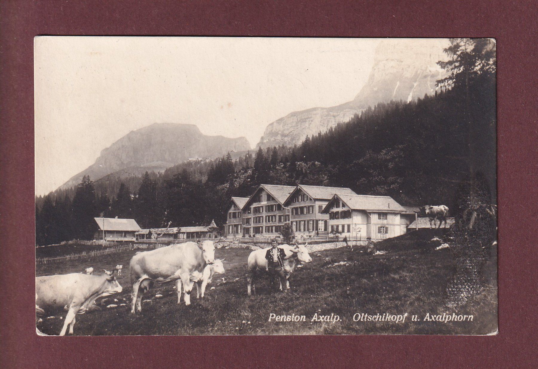 PENSION AXALP - Bauer und Kühe - Oltschikopf - Axalphorn (D'occasion) à ...