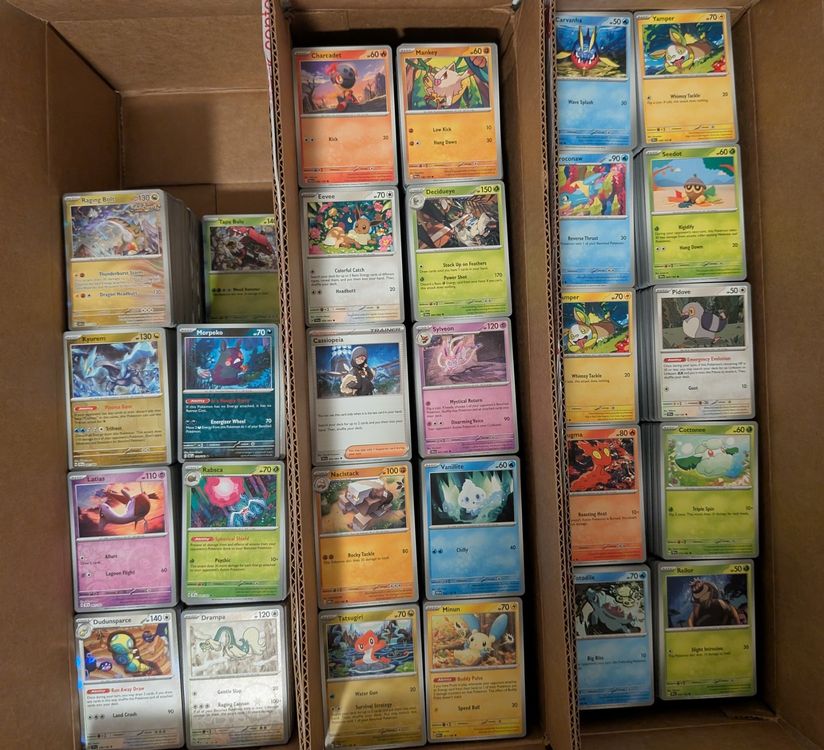 Pokémon - Über 13000 Karten Scarlet & Violet Ära Bulk EN (Neu und ...