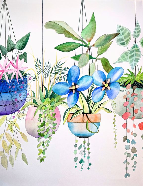 Original Aquarell hängende Blumentöpfe und Zimmerpflanzen (Neu und originalverpackt) in ...