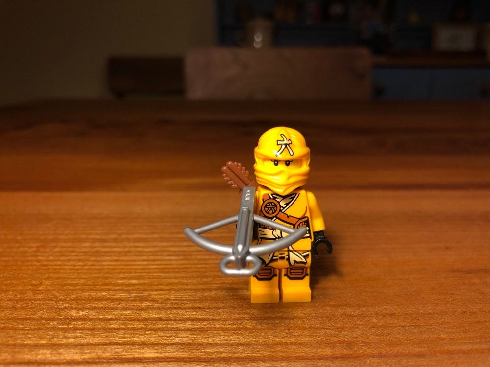 Lego ninjago skyler | Kaufen auf Ricardo