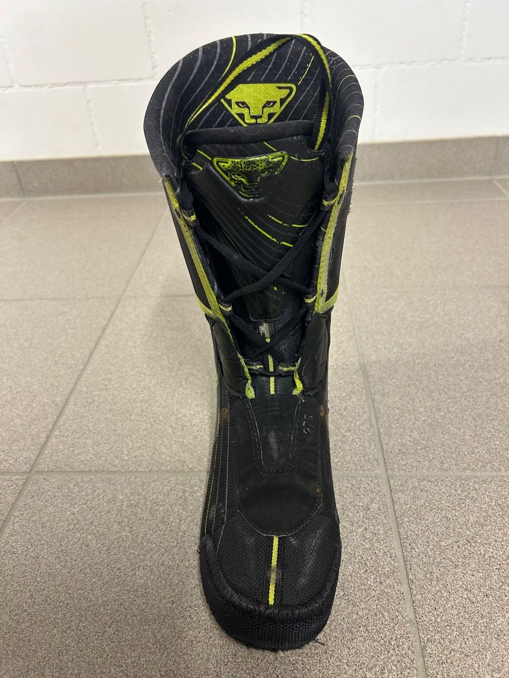 Skitourenschuh Dynafit TLT6 (D'occasion) à Ibach pour CHF 59 – avec ...