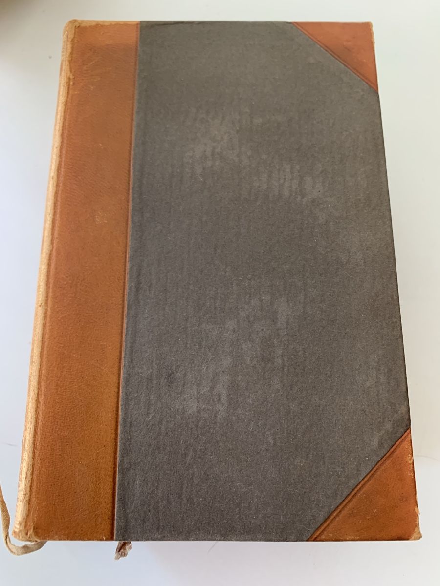 Alexandre Dumas Stille bunte Welt 3 Bde 1913 Georg Müller (Gebraucht ...