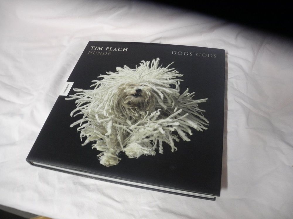 BUCH HUNDE DOGS GODS CHIENS VON TIM FLACH (Neu (gemäss Beschreibung ...