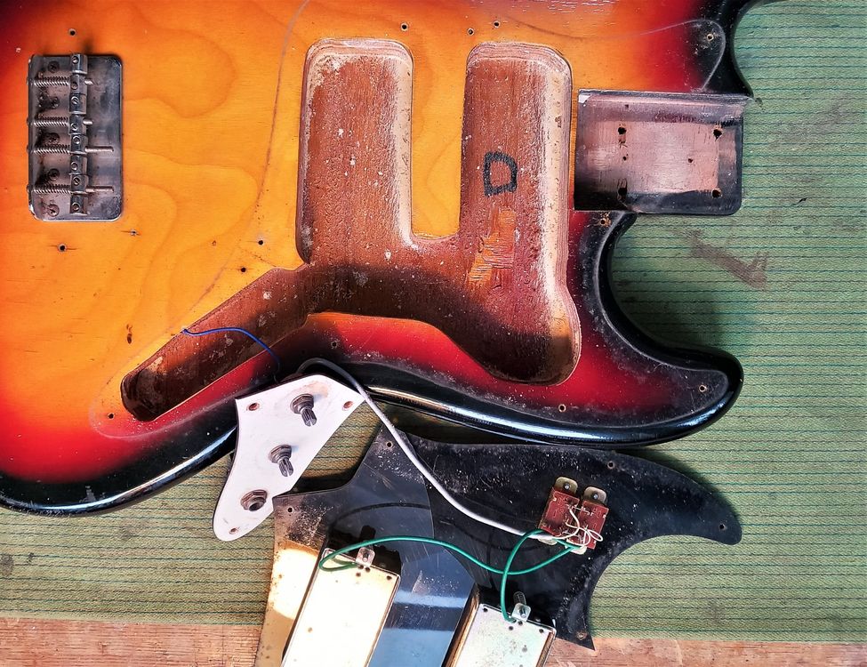 Alter Bass Body | Kaufen auf Ricardo