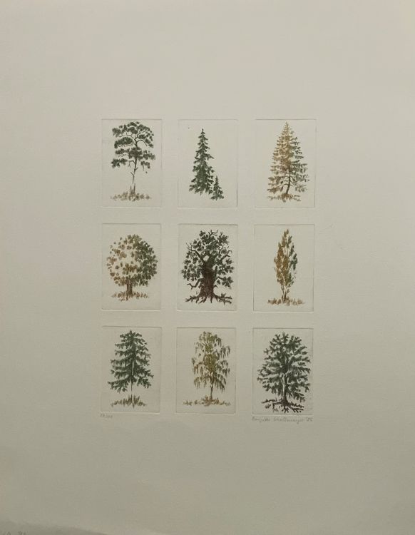 Brigitte Schollmayer Radierung Handsig | Kaufen auf Ricardo