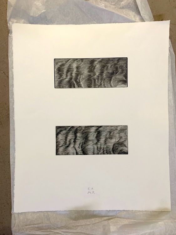 Markus Raetz, Waves, 1995 (Gebraucht) in Fribourg für CHF 3290 – mit ...