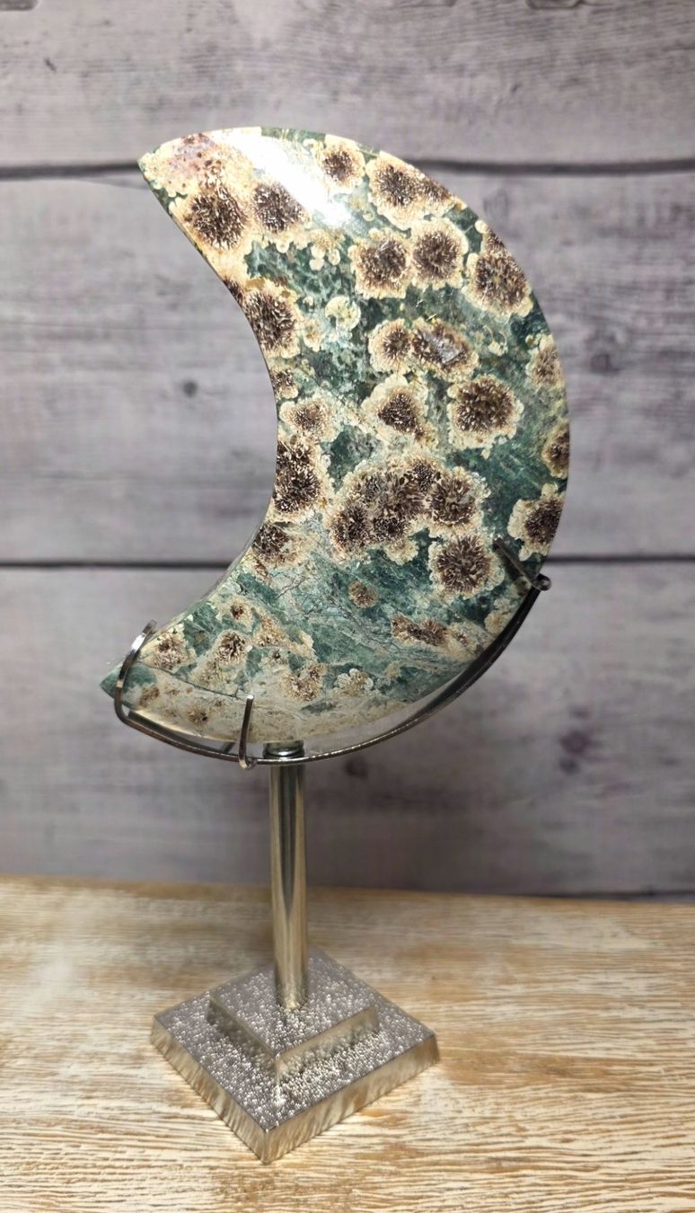 Blumen Rhyolith Mond B 262g (Neu und originalverpackt) in Matzingen für ...