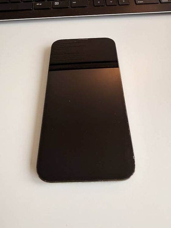 Apple iPhone 13 Pro Max 256GB - Alpine Green (Gebraucht) in Kilchberg ...