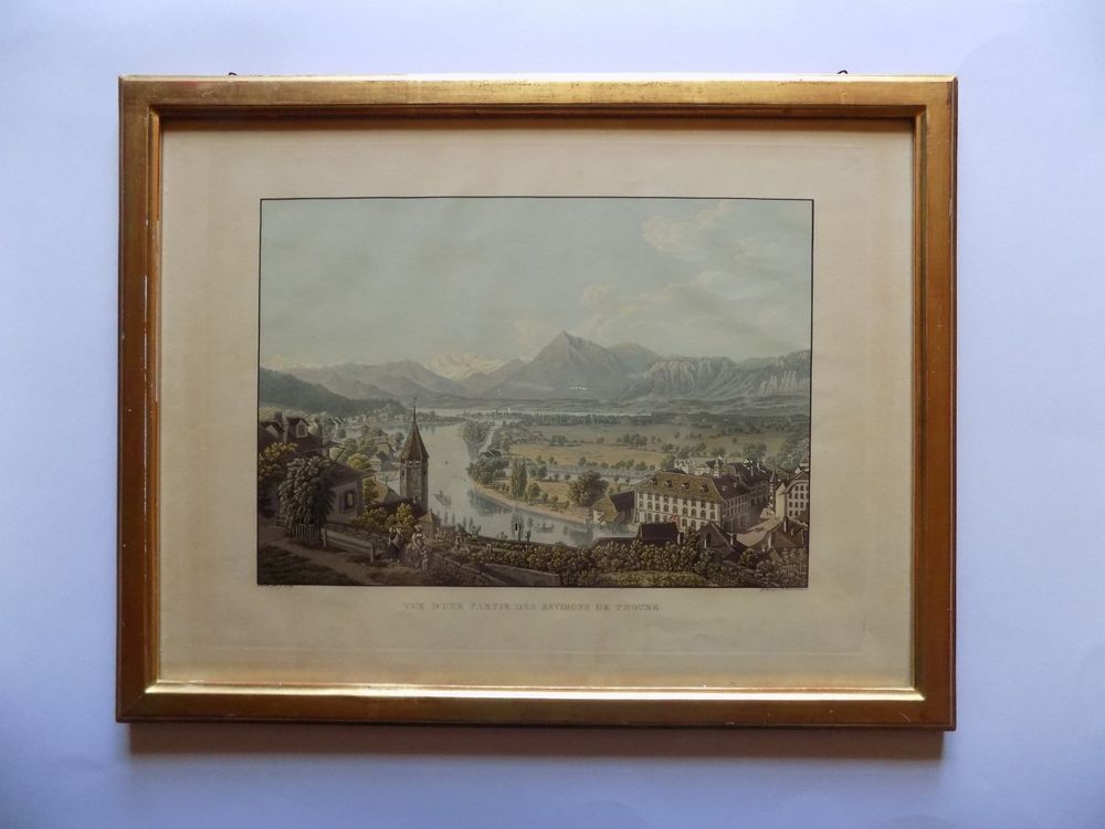 Thun Lory koloriert Goldrahmen (Gebraucht) in Risch für CHF 250 – mit Lieferung auf Ricardo kaufen