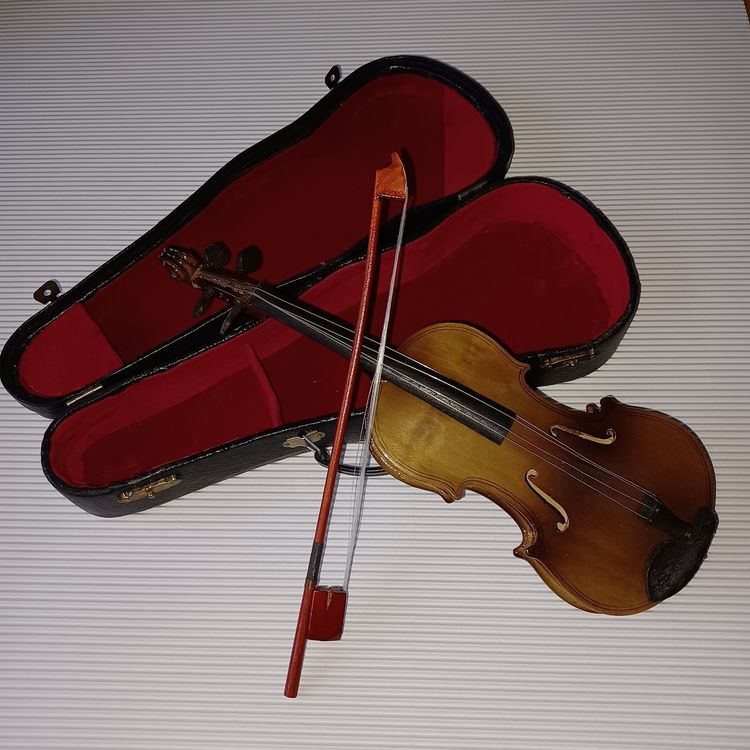 GEIGE mit Geigenkasten. Mini Ausführung. Selten. (Gebraucht) in Zürich ...