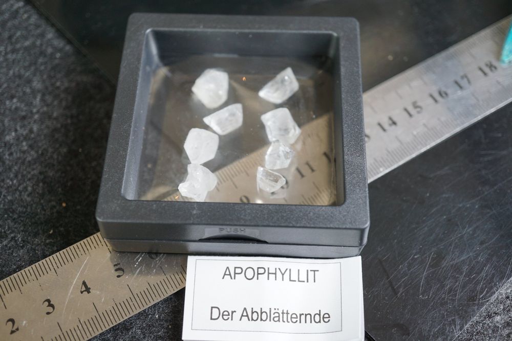 Apophyllit 8 stück in Sammlerbox TOPSTONE | Kaufen auf Ricardo