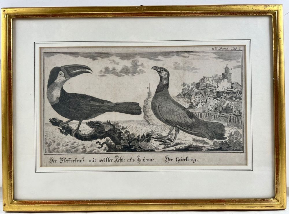 Antike Kupferstich um 1790 Echtgoldrahmen (Gebraucht) in Neuhausen am Rheinfall für CHF 34 – mit ...