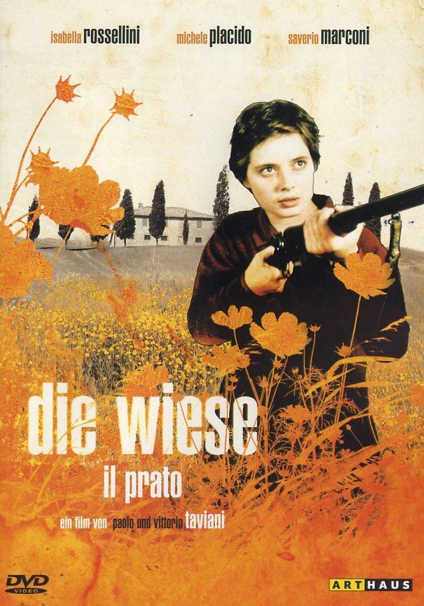 Die Wiese (1979) Taviani/Isabella Rosselli/Marconi/DVD/RAR (Neu (gemäss ...