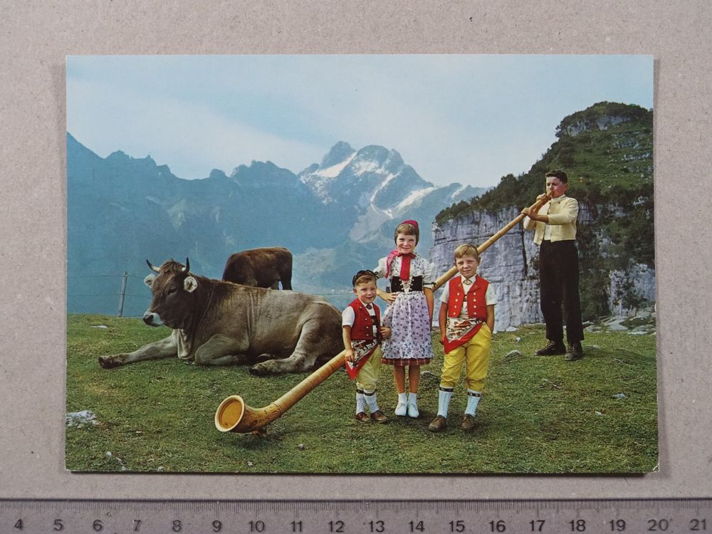 Ebenalp, belebt, Appenzell, Tracht, Kinder, Alphorn, Kühe (Gebraucht) in Lenzburg für CHF 2 ...