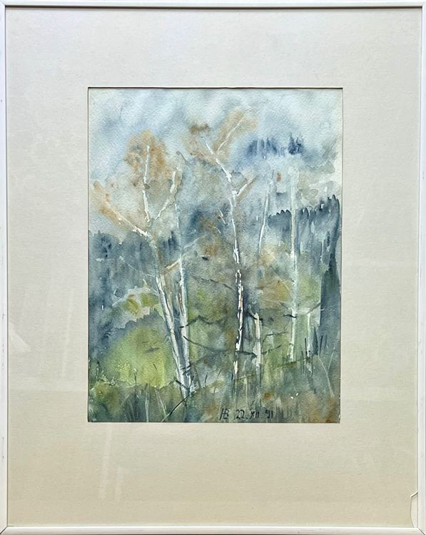 Interessante Landschaft Aquarell Gemälde von H.B, 60x50 cm (Gebraucht) in Kölliken für CHF 5 ...