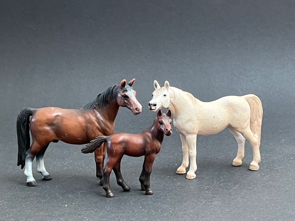 Schleich Araber Pferd Hengst Fohlen Stute | Kaufen auf Ricardo