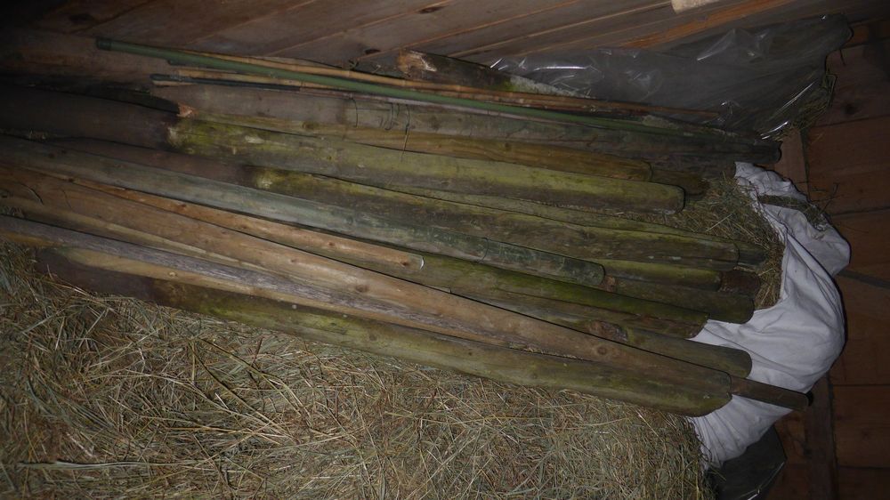 Pfähle Pfahl Holz Pfahl Zaun (Gebraucht) in mümliswil für CHF 1 – nur ...