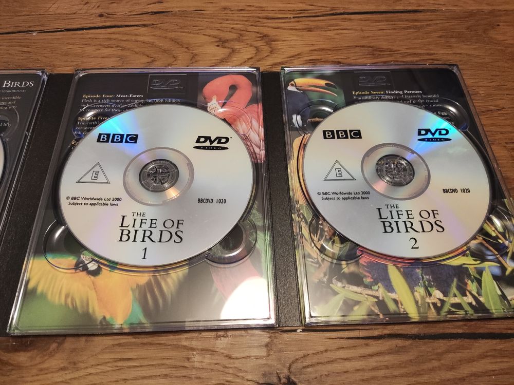 The Life of Birds - BBC - David Attenborough - English (DVD) | Kaufen ...