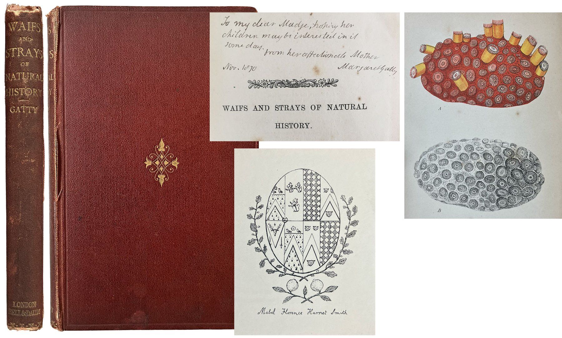 GATTY (1871), Waifs and Strays... ASSOCIATION COPY (Gebraucht) in Uster ...