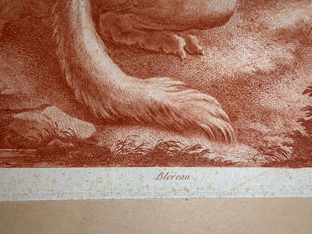 Jean-Baptiste Oudry (1686–1755) – „Blereau“ – Original ~1740 (Gebraucht ...