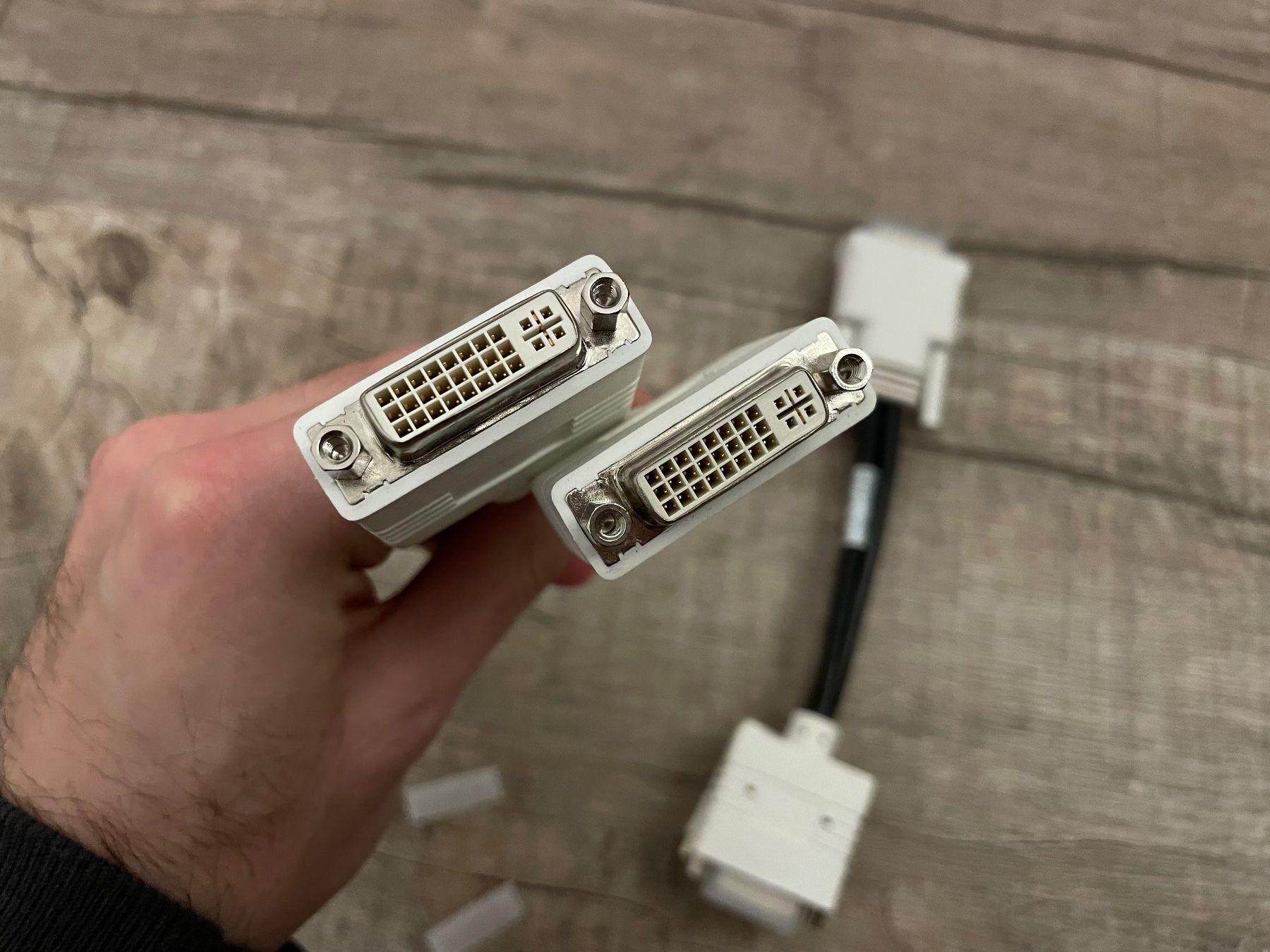 HP BizLink Splitter Cabel - Male to dual DVI Female (Neu (gemäss ...
