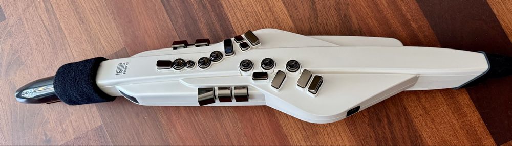 Roland Aerophone AE20 Windcontroller/ Synthesizer (Neu (gemäss ...