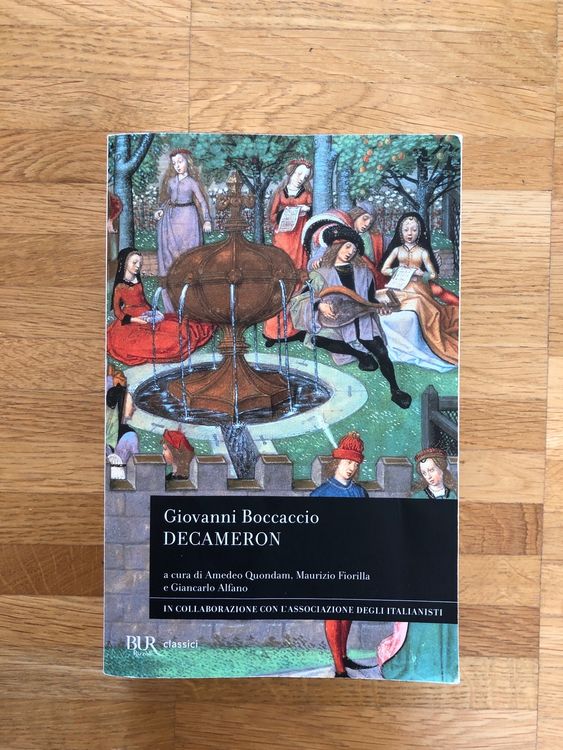 Libro - Il Decameron di Giovanni Boccaccio (Neu (gemäss Beschreibung ...