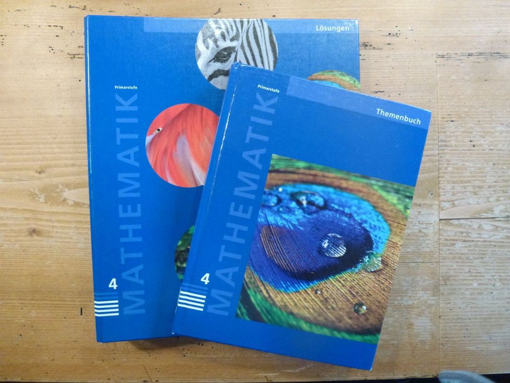 Lehrmittel Mathematik 4. Klasse | Kaufen auf Ricardo
